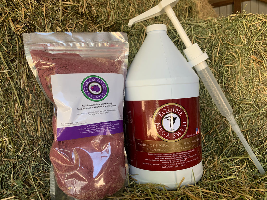 Oxy Cleanse Powder – O3 Animal Health